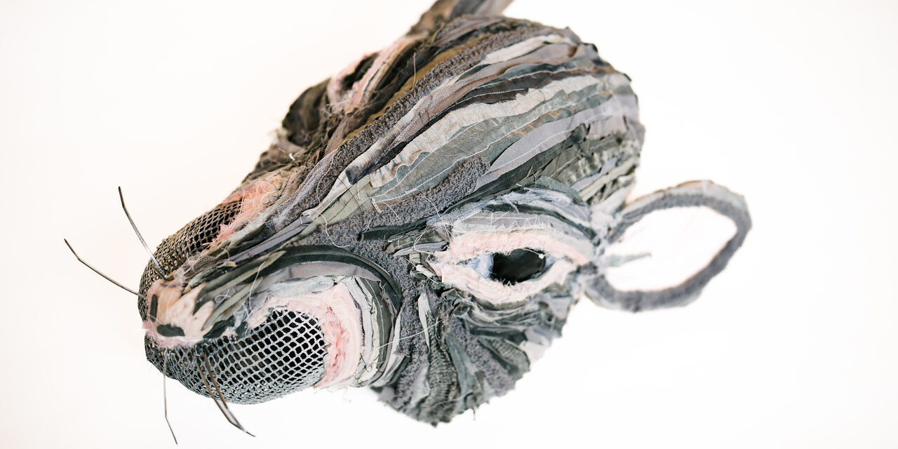 Adopt-A-Rat! - Ballet Northwest